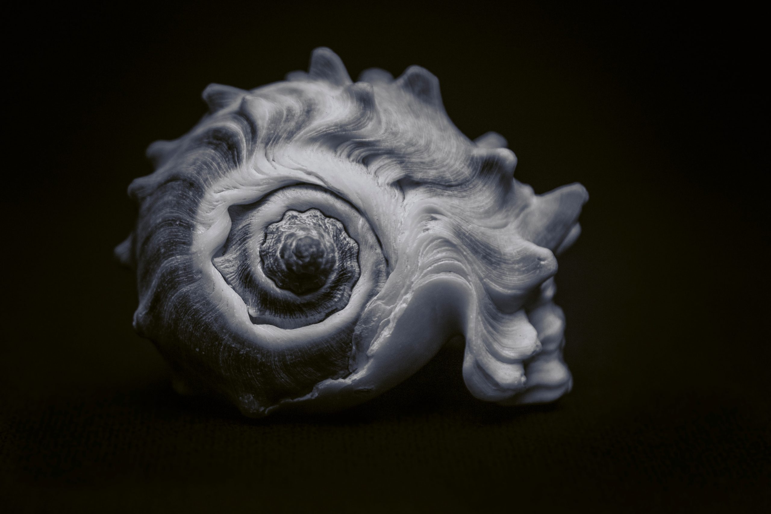Glorious Creatures IV - Kate Conklin